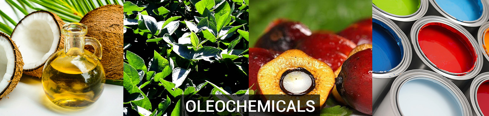 Leading Oleochemical Products Supplier in India | Pan Oleo